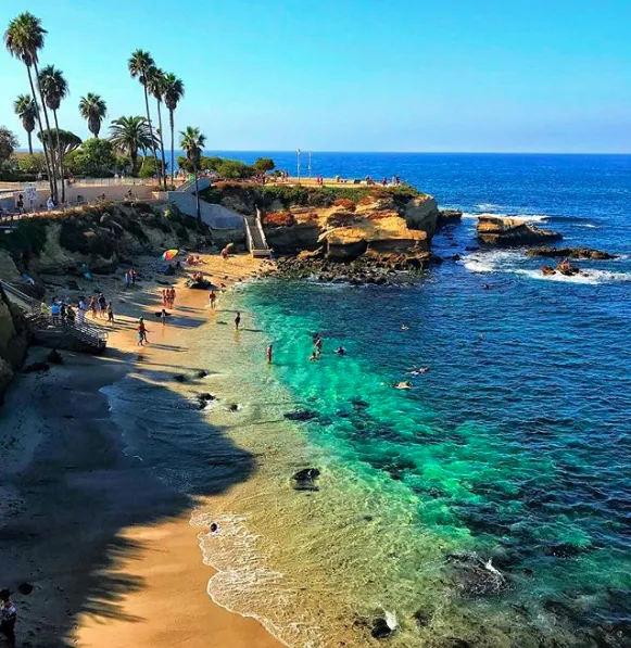 2. La Jolla Cove has a history of shark attacks.