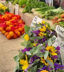 Top 10 Things to Do in Del Mar | LaJolla.com