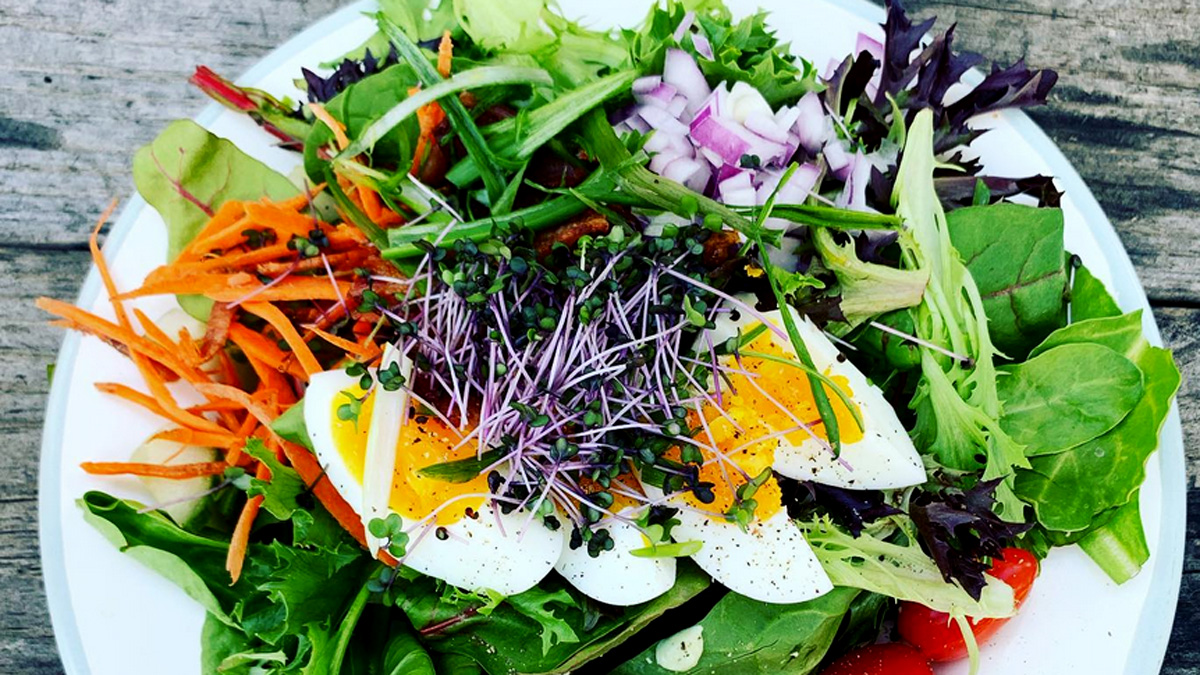 Local Farm-to-Table Cafe Buys Bonsall Farmland, Plans UTC Location ...