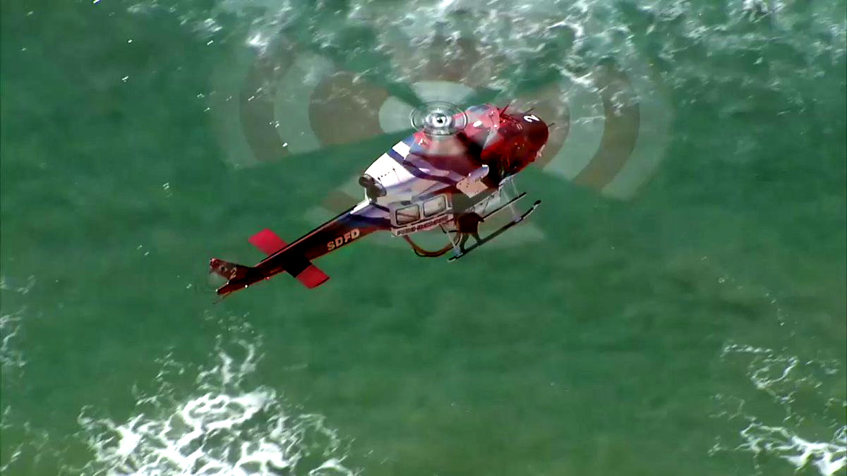 Firefighters, Lifeguards Pull Off Daring Rescue of Person From Black’s ...
