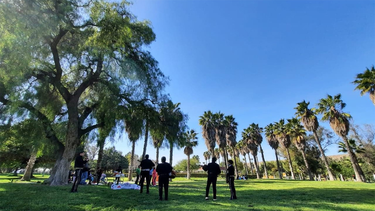 The Tijuana International Airport: Nearby Attractions, Hotels & FAQs ...