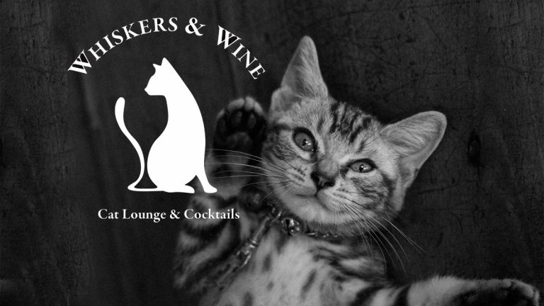 The Country’s First Cat Lounge with a Full Cocktail & Bar Bites Menu ...