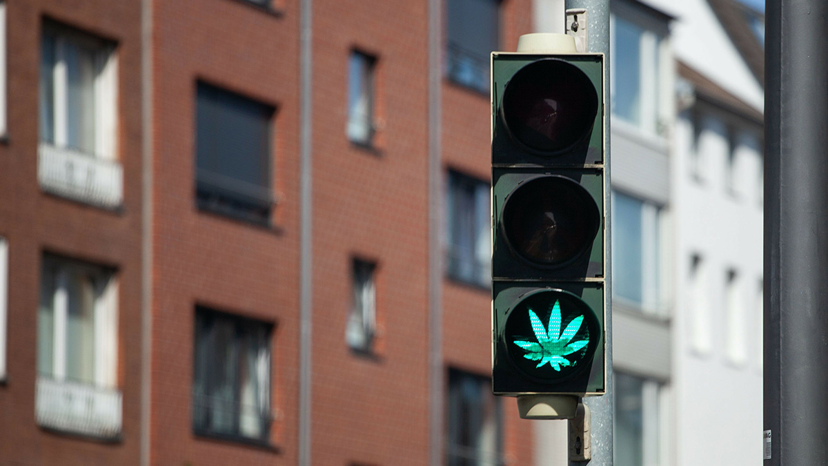 Driving While High Laws in San Diego & Marijuana DUI | Lajolla.com