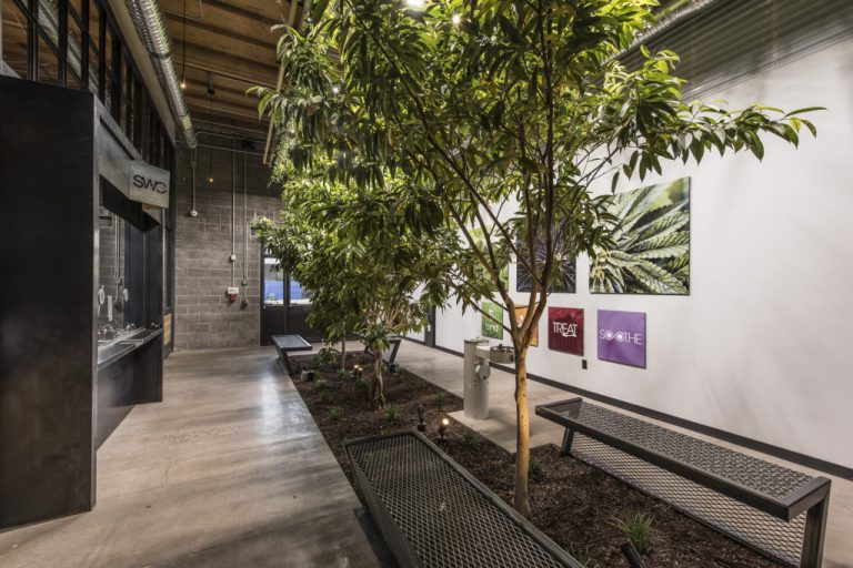 What is a Cannabis, Weed & Marijuana Lounge? LaJolla.com