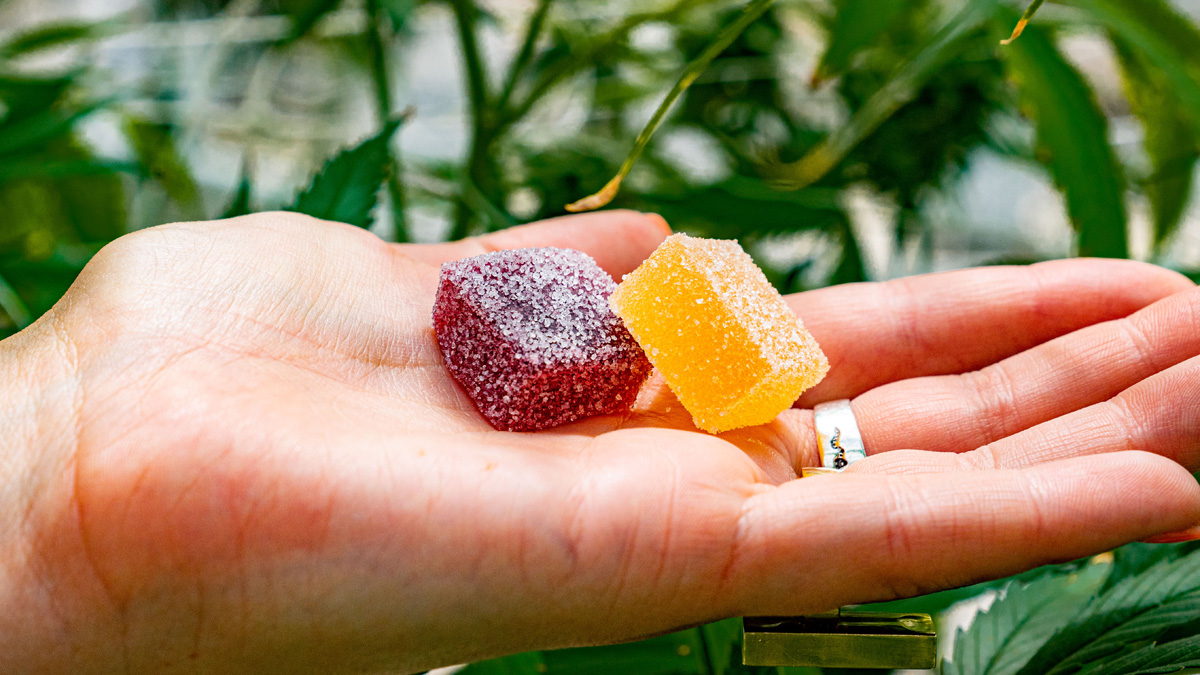 Where to Find the Best Weed Gummies in San Diego