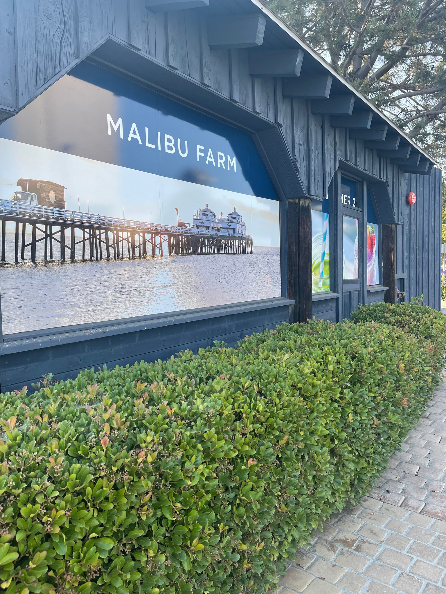 Malibu Farm Seaport Village to Bring Delicious Cuisine to Iconic Spot ...