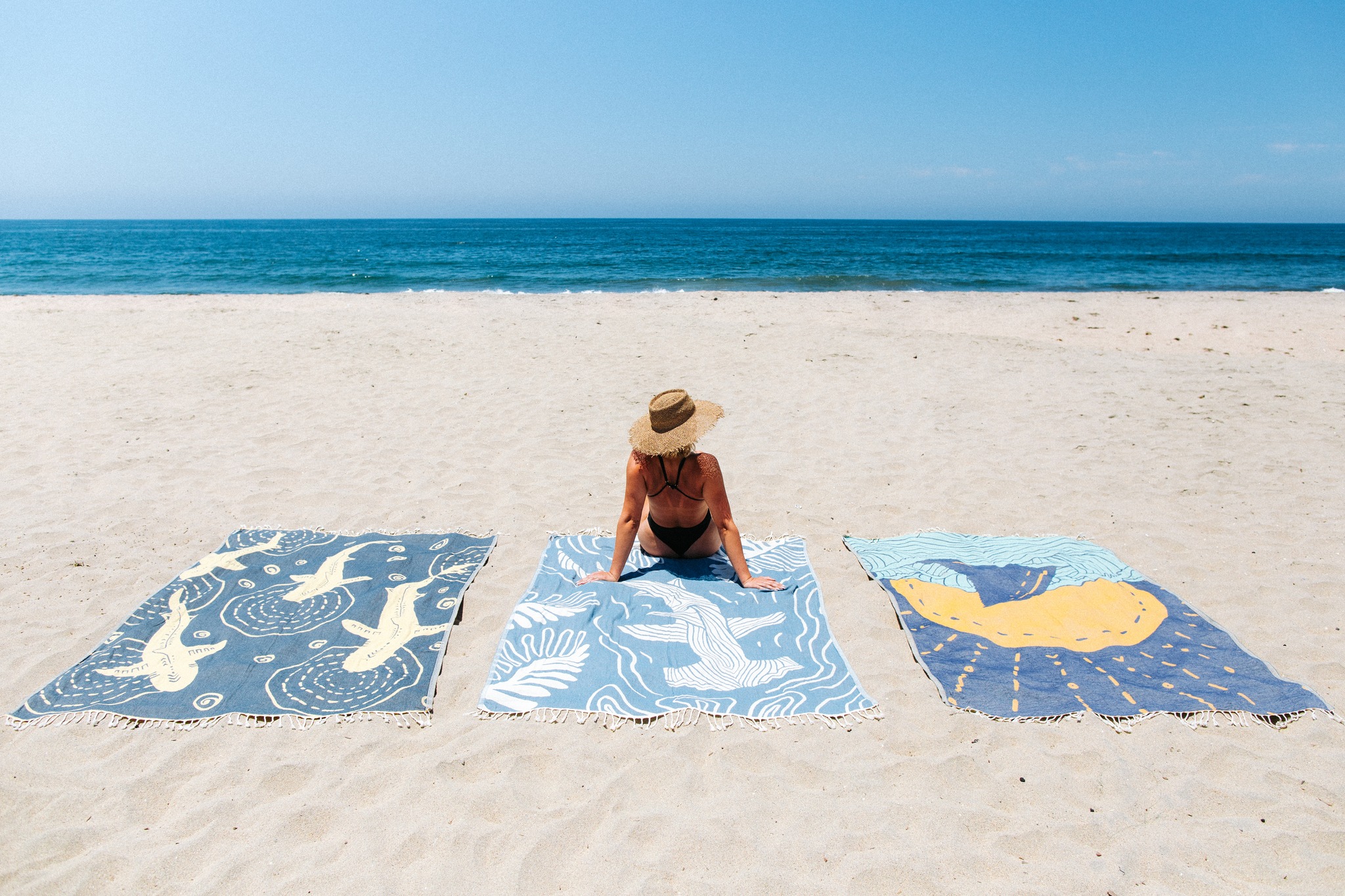 Ocean Friendly Brands & Companies in San Diego - LaJolla.com