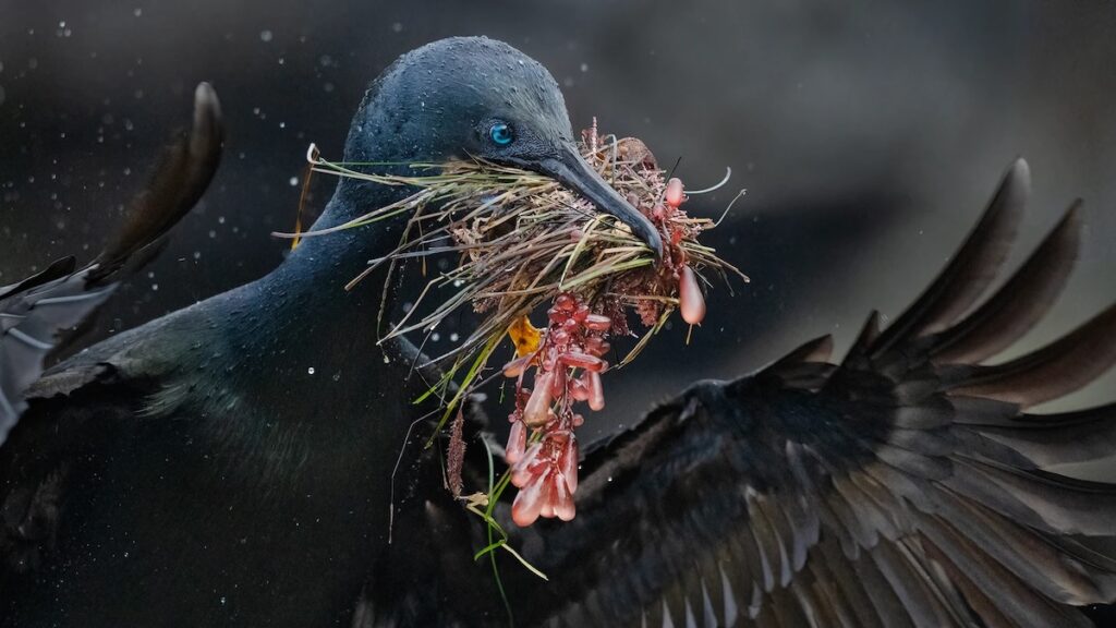 Discover 3 La Jolla Bike Paths & Trails